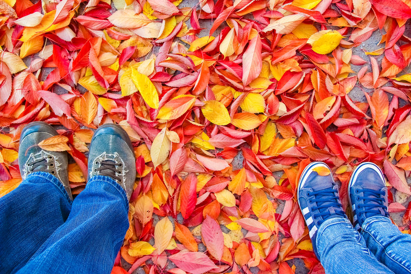 The Best Home Paint Colors for Fall | Richard Stewart Painting